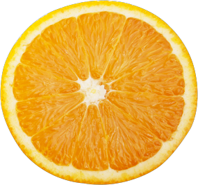 Sitrus Kami | Sunkist my