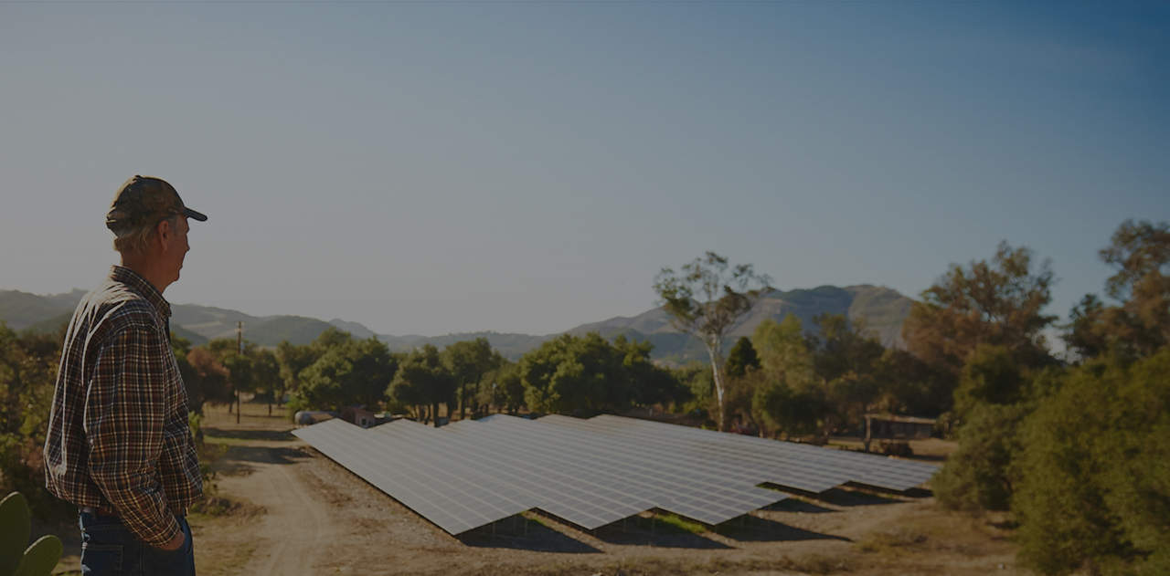 Sunkist_website_Growers_images_4sustainability_1280x631-1 | Sunkist my